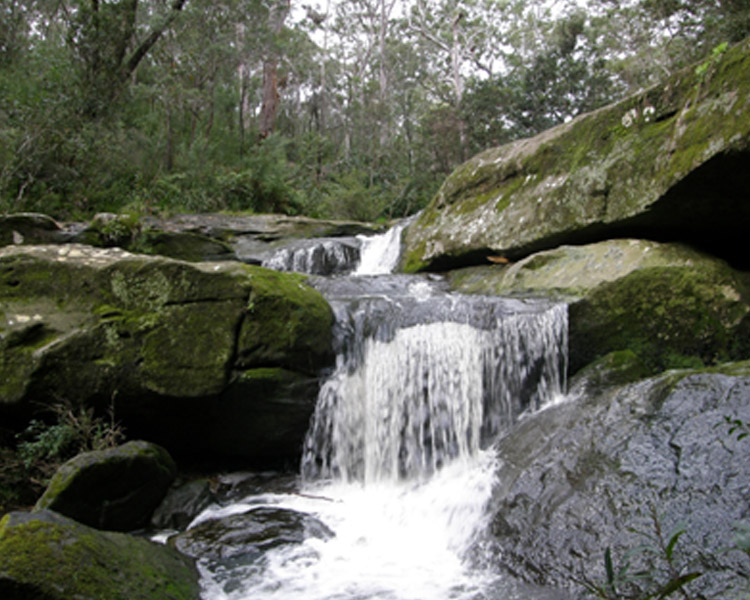 Waterfall Walk - Dooral Roundup Magazine